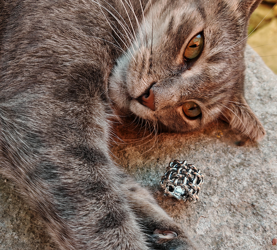 Anello Vimini - Pietrasalata